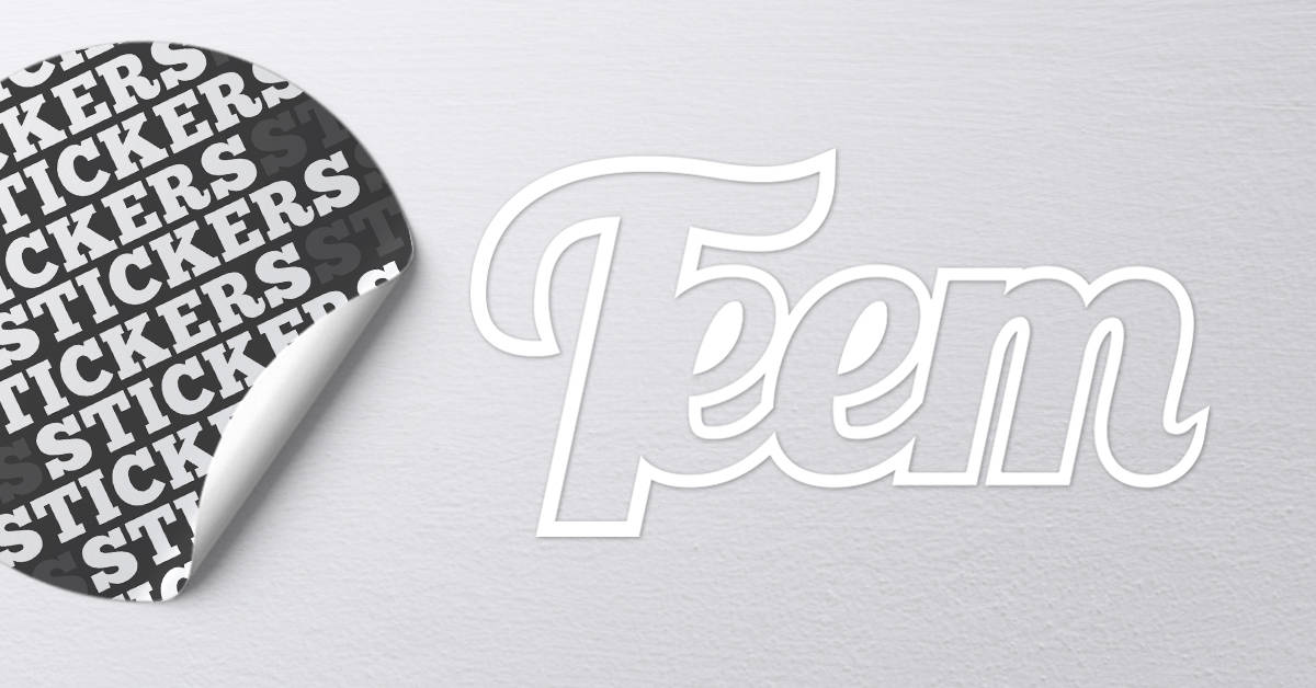 Teem Transfer Sticker (2 pack) – TEEM Gear